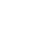 OKRE Fund Case Study: My Blonde GF - OKRE